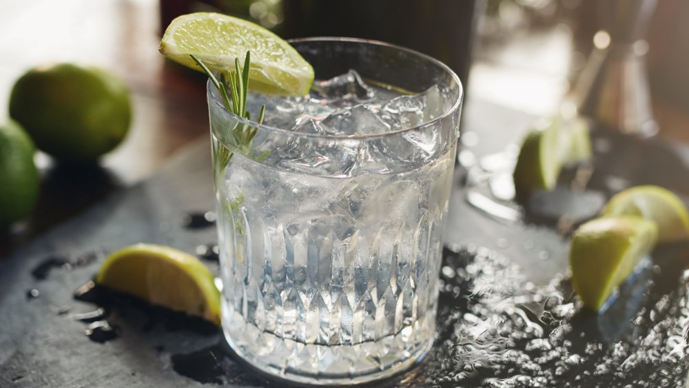 All About Gin: A Beginners Guide - Delicious and healthy food for you